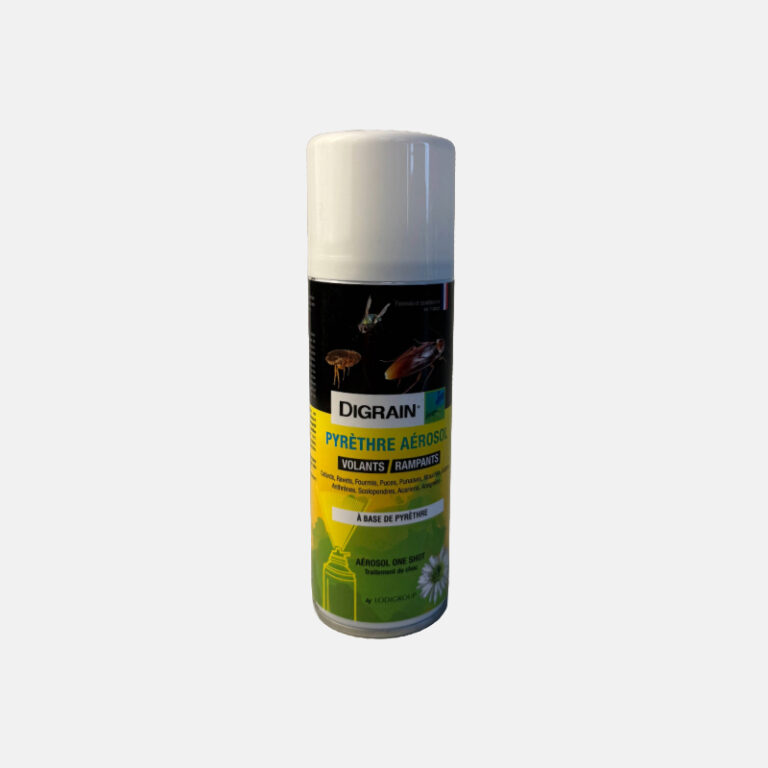 DIGRAIN PYRETHRE AEROSOL 200ML - ETS Aming