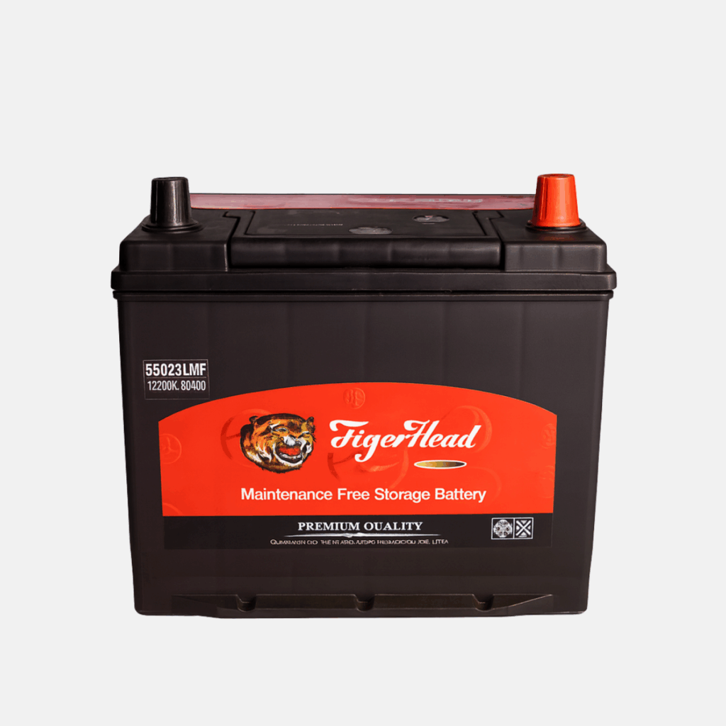 BATTERIE TIGER 60AH+D MF ASIATIQUE - ETS Aming